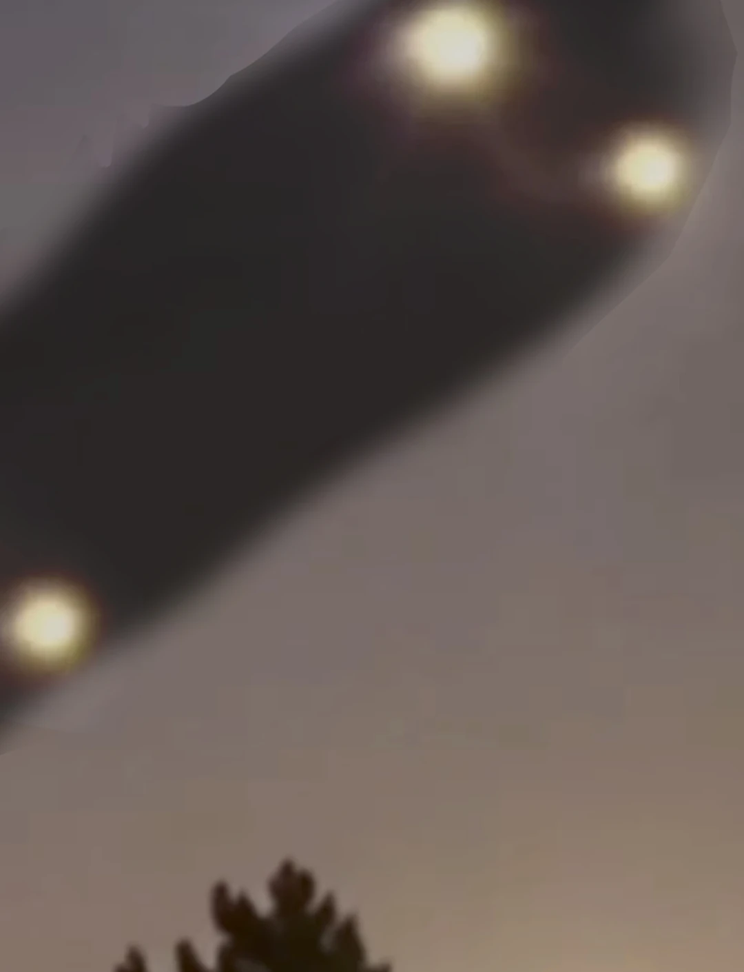 Chat am I cooked | Fandom