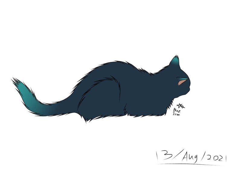 Xiao Cat Trace Art | Fandom