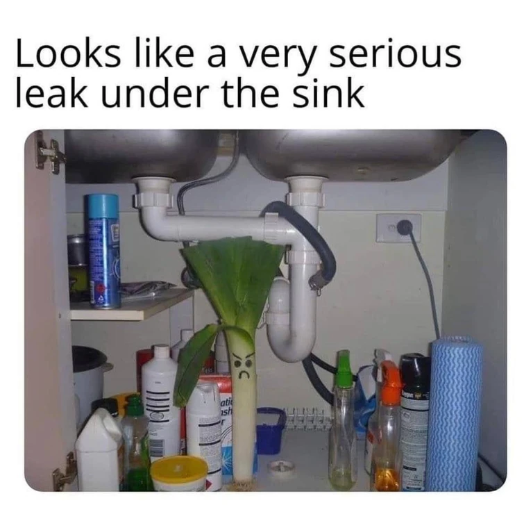 What an angry leek- | Fandom