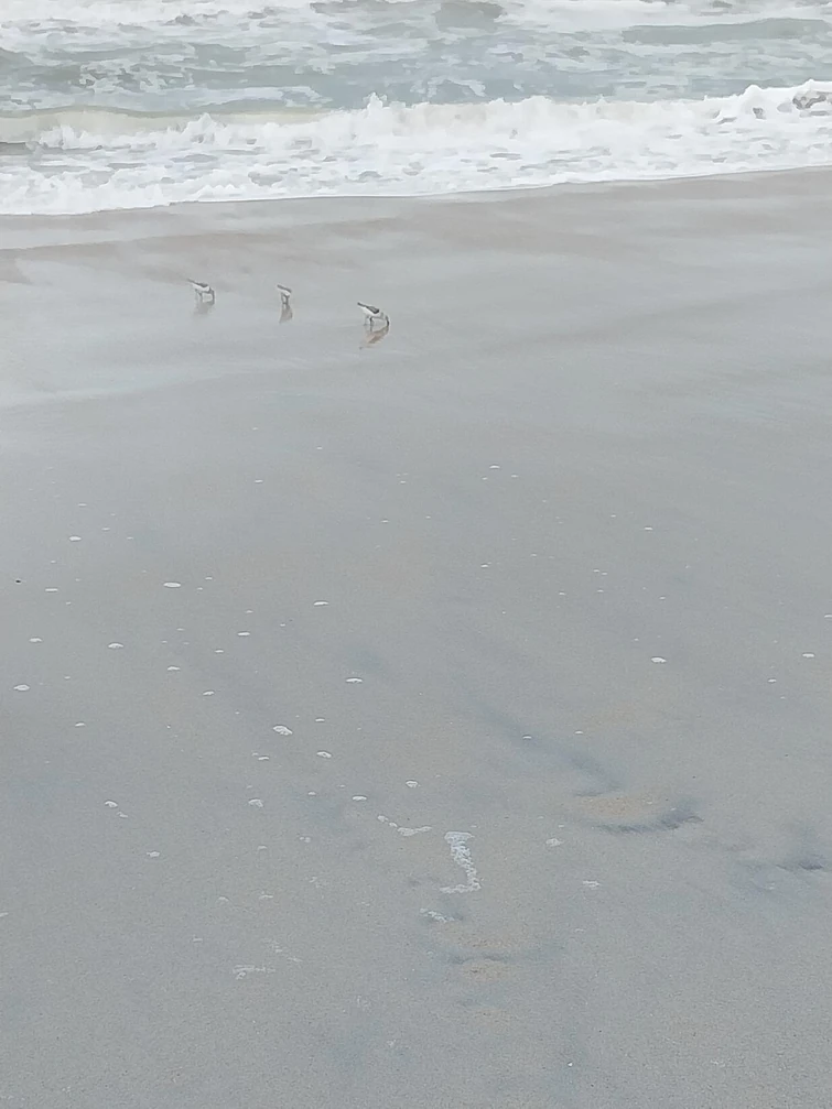 Ocean | Fandom