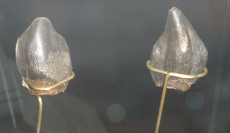 Discuss Everything About Dinopedia | Fandom