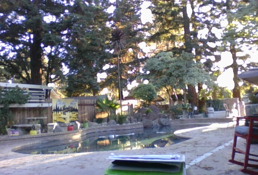 i want to jump in the pooool | Fandom