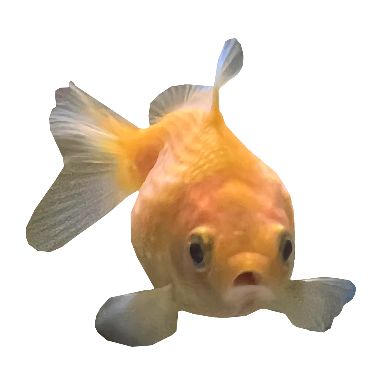 fish chat post | Fandom