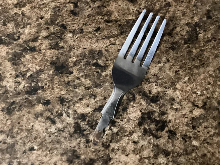 whoops guess who blew up their fork !! in the microwave!!.. again!!!,,, | Fandom