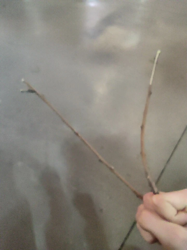 Energy blade | Fandom