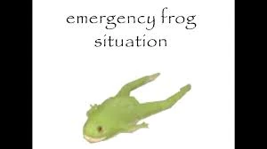EMERGENCY FROG SITUATION! | Fandom