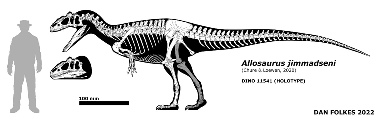allosaurus vs tenontosaurus | Fandom