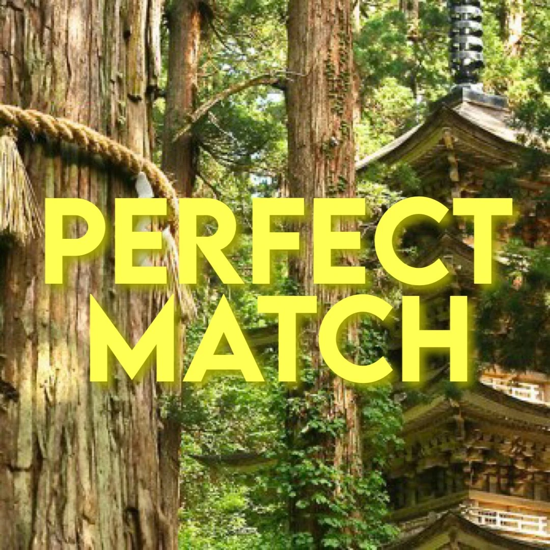 The Challenge: Perfect Match/Gallery | Brant's Crazy Games Wiki | Fandom