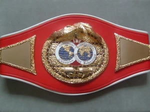 Championships | BCW Wiki | Fandom