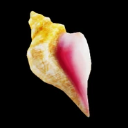 Item Rarities | Balanced Craftwars Overhaul Wiki | Fandom