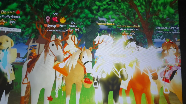 Omg vanilla bunilla and temeeriaa were in my server!!! | Fandom