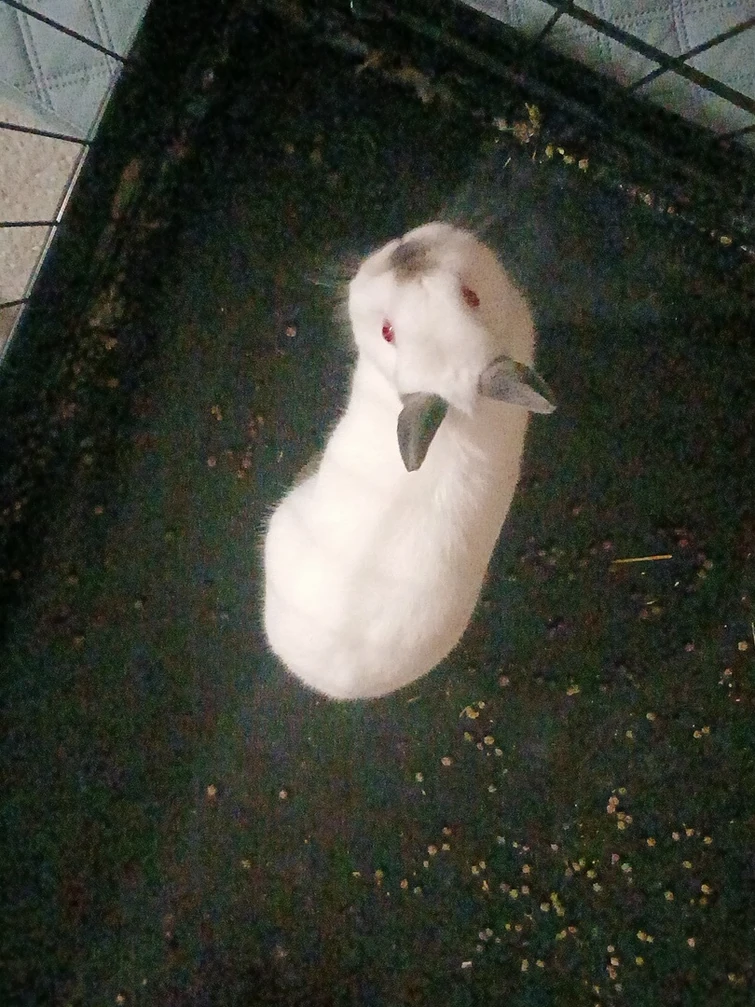 Random story time 😋 | Fandom