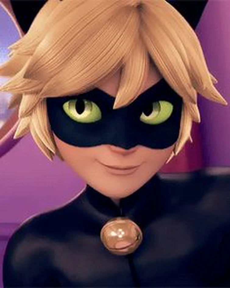 Cat noir! | Fandom