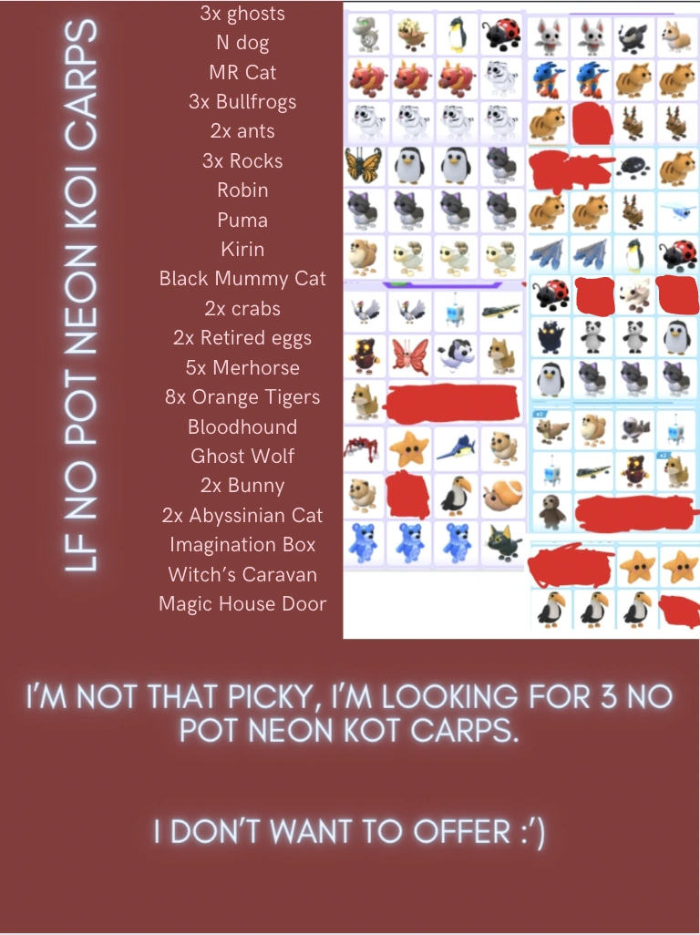 Do you have a neon no pot Koi carp? :') | Fandom