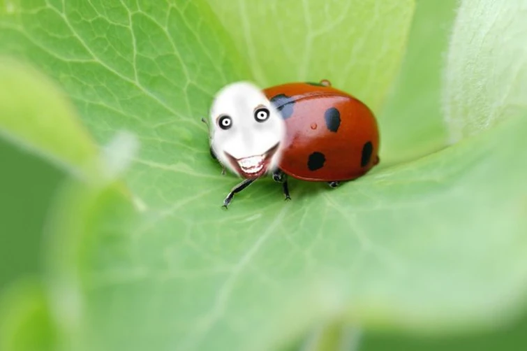 what creature looks the closest to deluumar ,, | Fandom