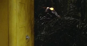 Gojipedia Showa Kaiju Vote Round 5: Maneater or Giant Praying Mantis ...