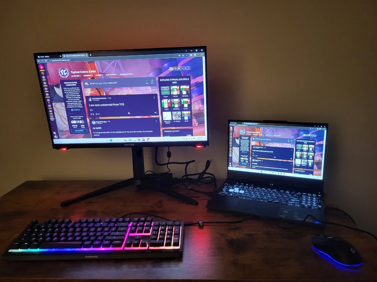 New Monitor set up | Fandom