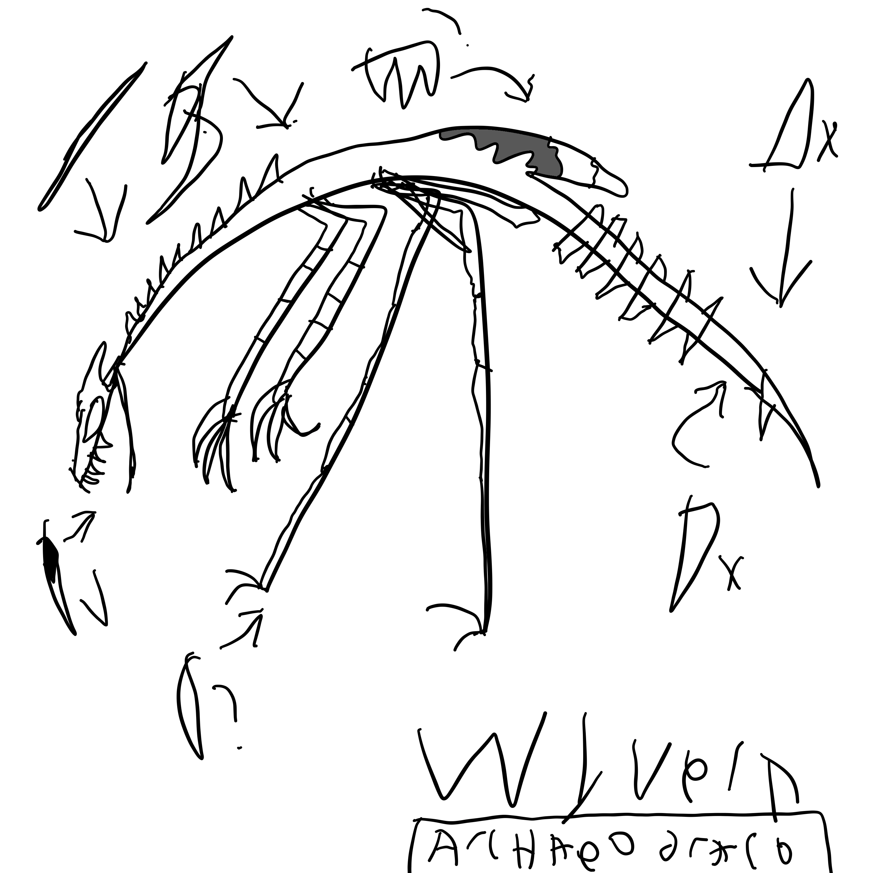 decided to try to make a skeletal | Fandom