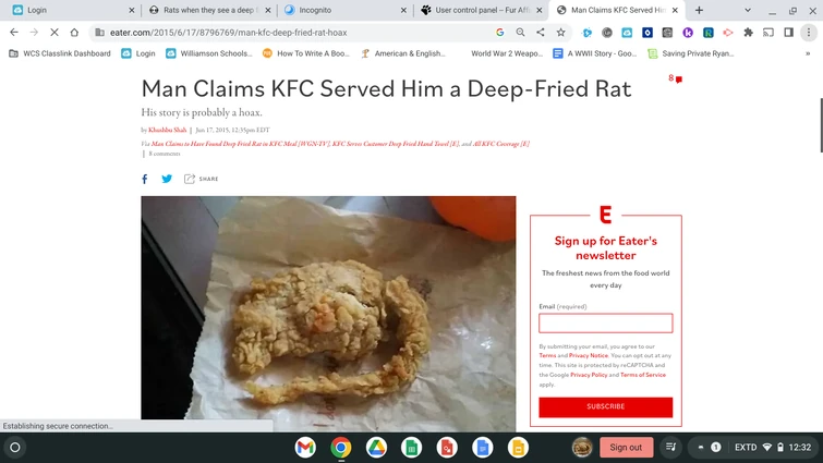 Rats when they see a deep fryer | Fandom