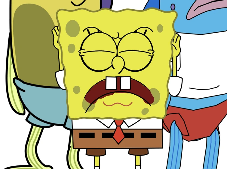 SpongeBob says STOP! | Fandom