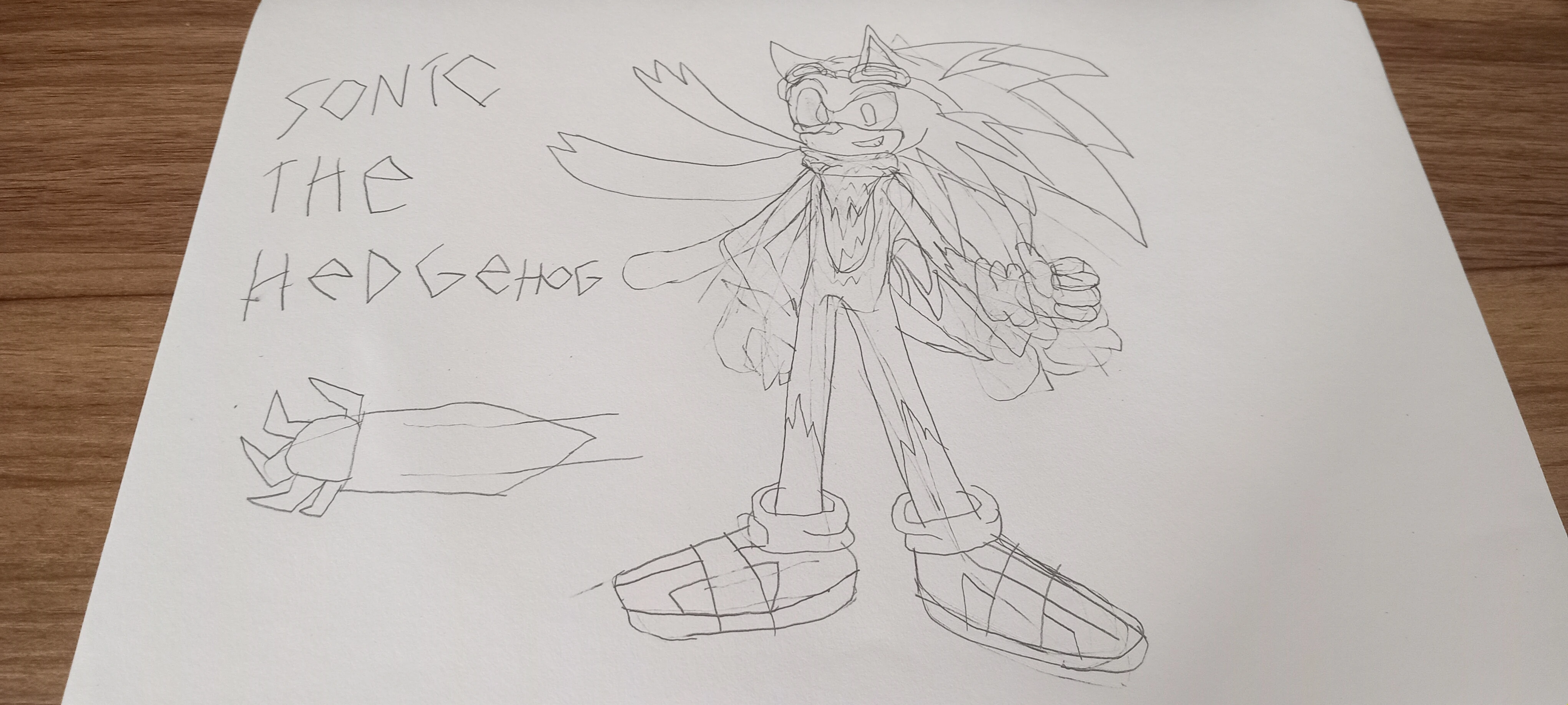 2nd Redesign of the Electric Blue Shrew for my project | Fandom