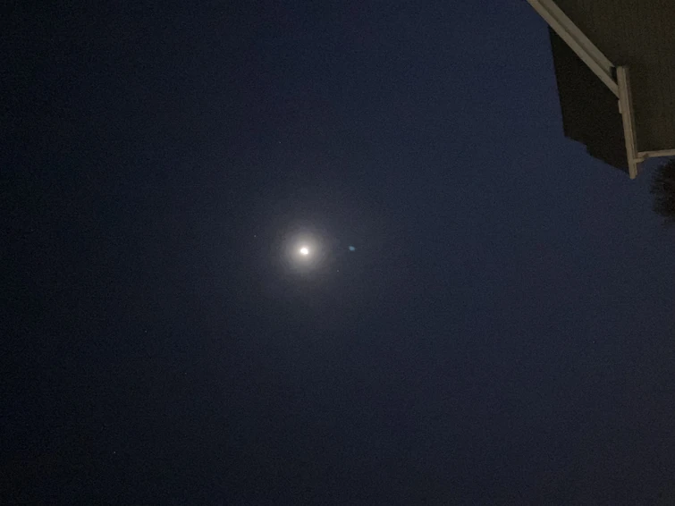 Hi guys, have a moon | Fandom