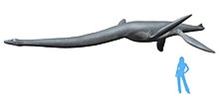 Which plesiosaur do you like? ( Plesioposting ) | Fandom