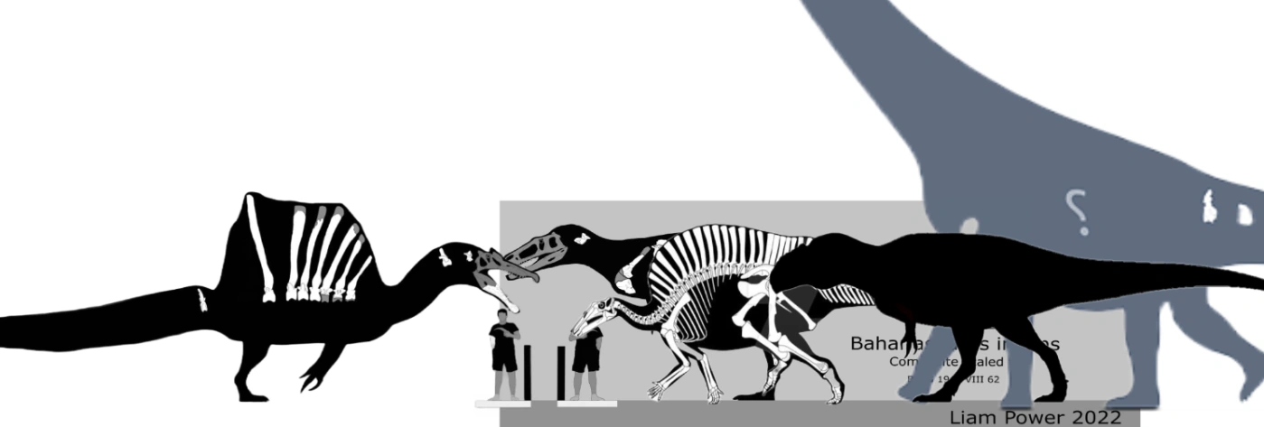 "Spinosaurus would hunt the land prey it lived with" The land "prey" in ...