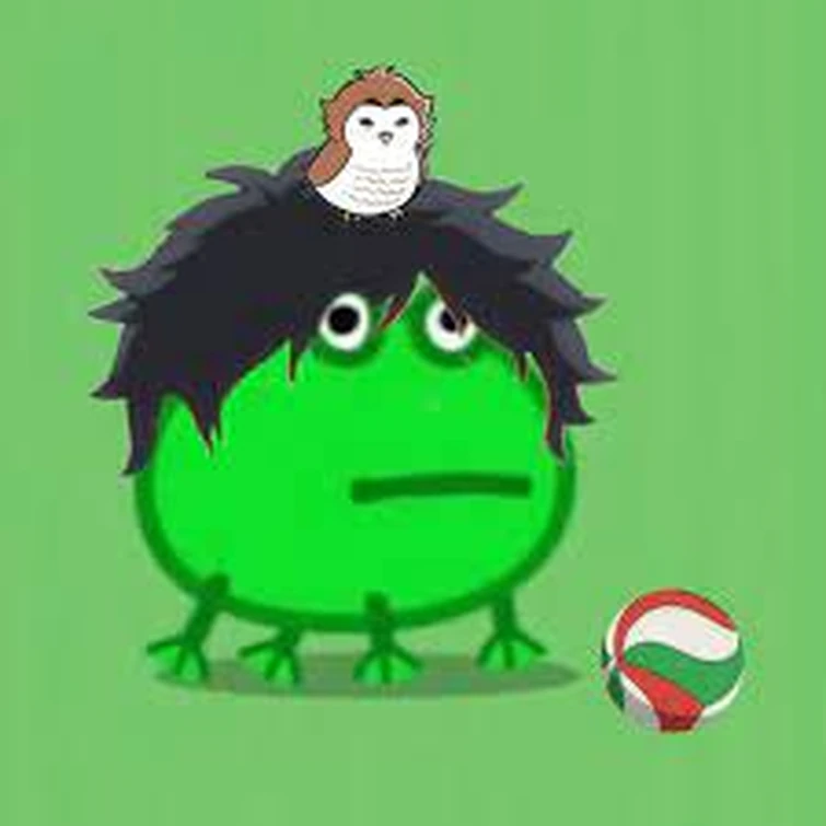 Haikyuu frog pfp's if ur interested 🙃 | Fandom