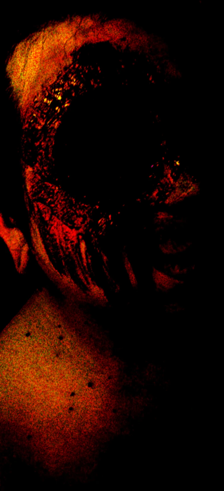 Give these phases audio | Fandom