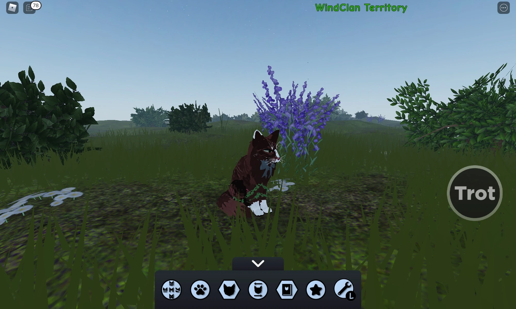 Morph Showcase! | Fandom