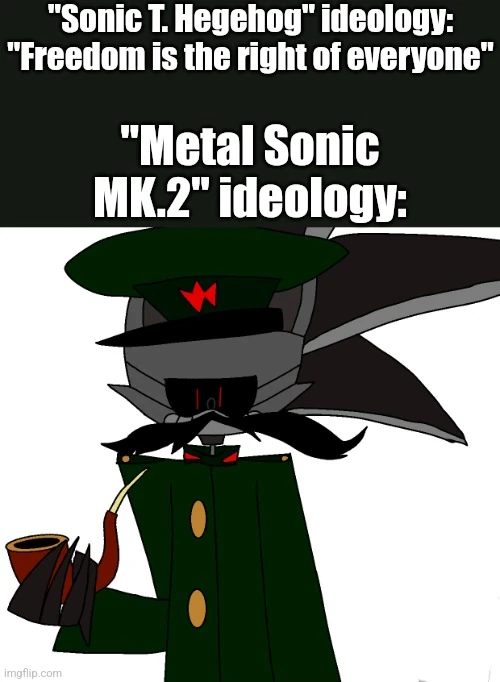 Another Sonic Bot meme | Fandom