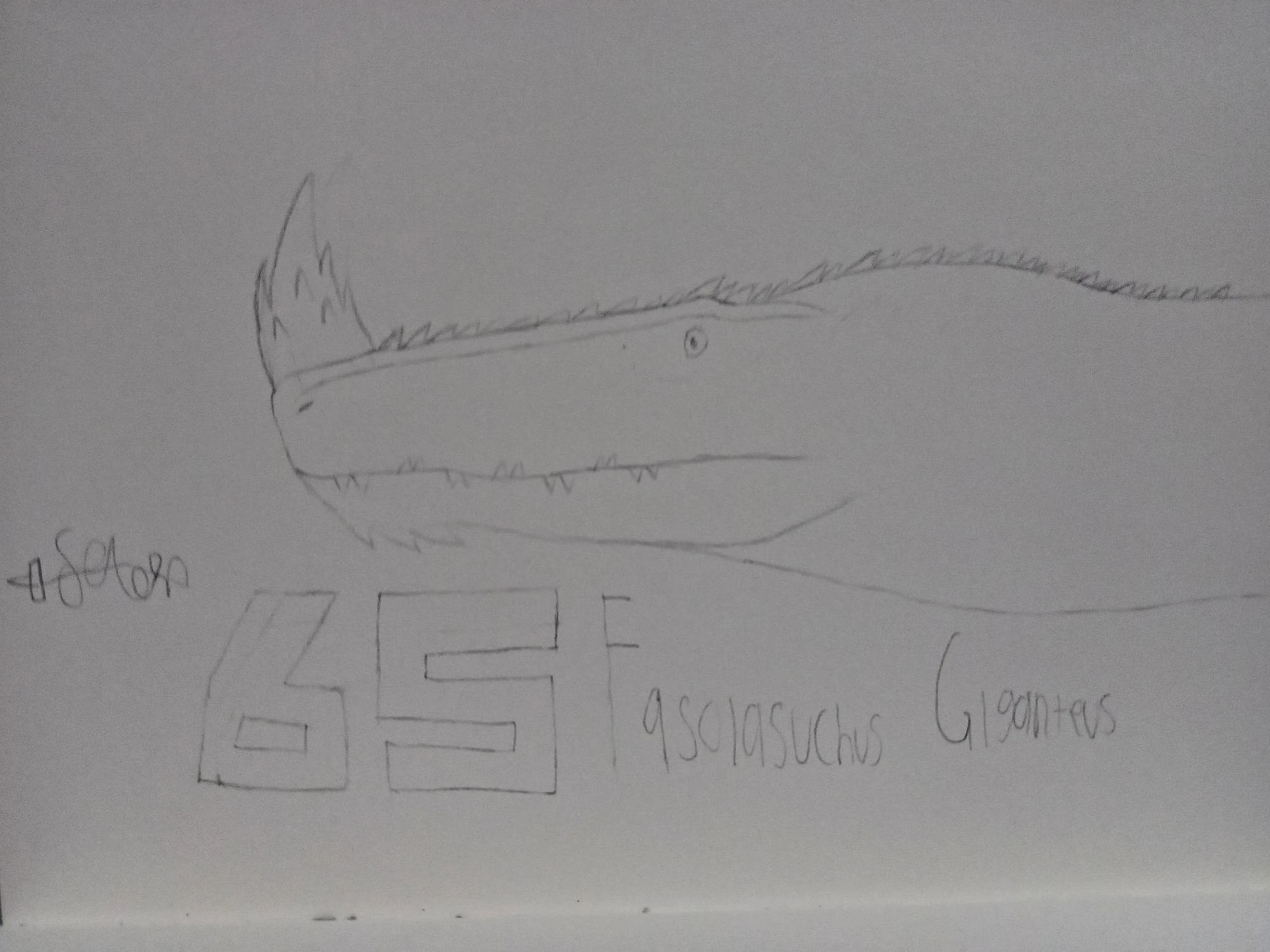 65 Fasolasuchus Redesign. | Fandom