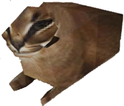 its floppa friday! | Fandom