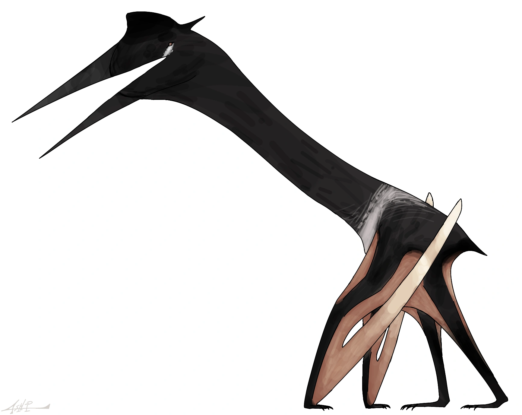 Infernodrakon Drawing Fandom