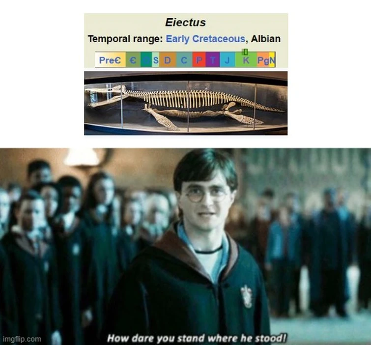 Discuss Everything About Dinopedia | Fandom