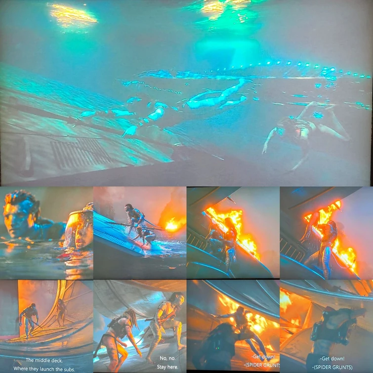 Jake and Spider swim and climb together | Fandom