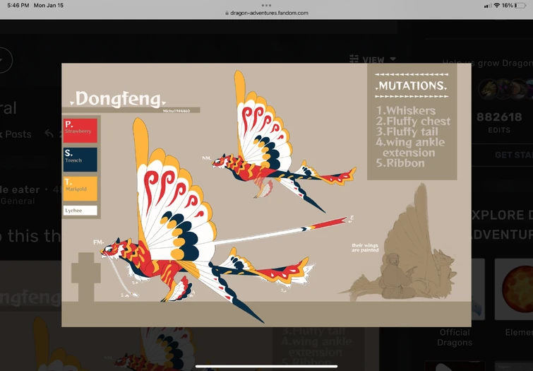 Here’s the new season dragon | Fandom