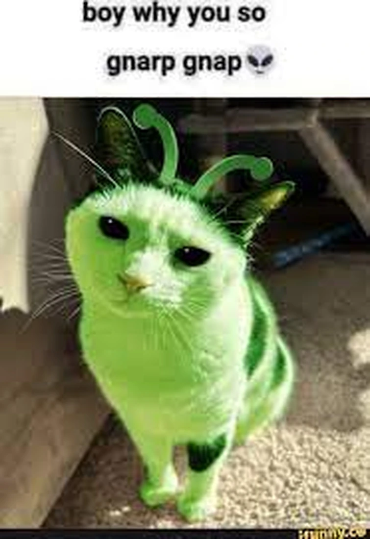 GNARP GNARP REEL | Fandom