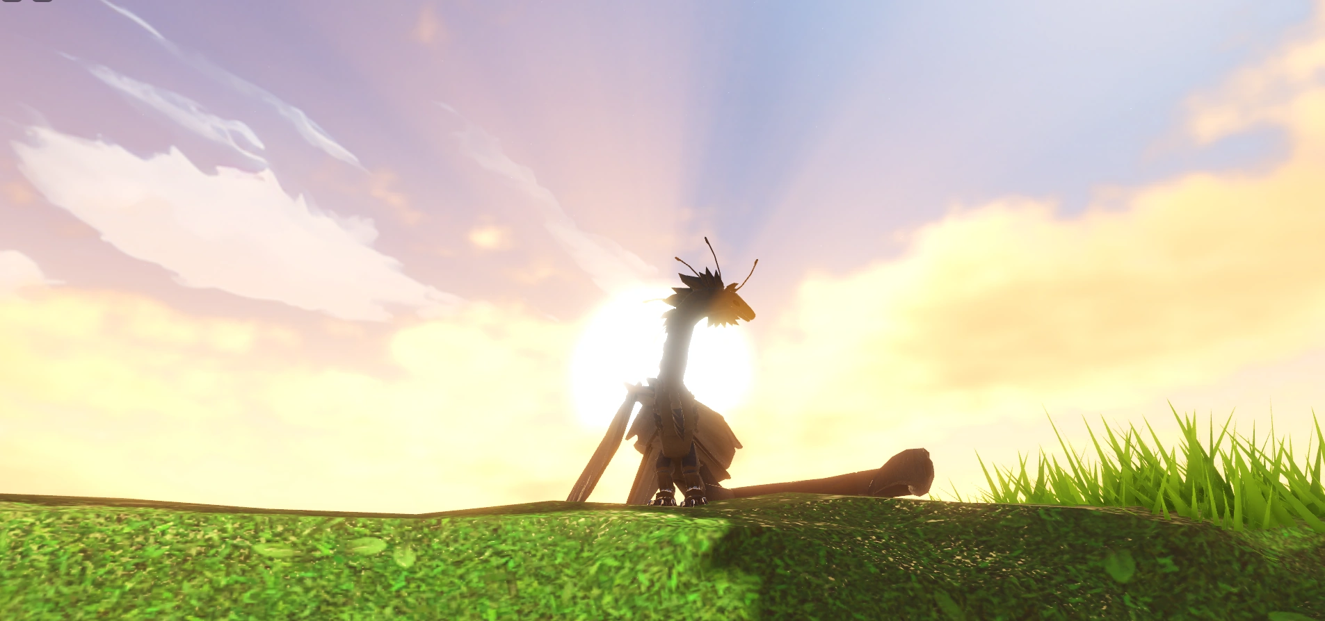 Man I love sunrise | Fandom