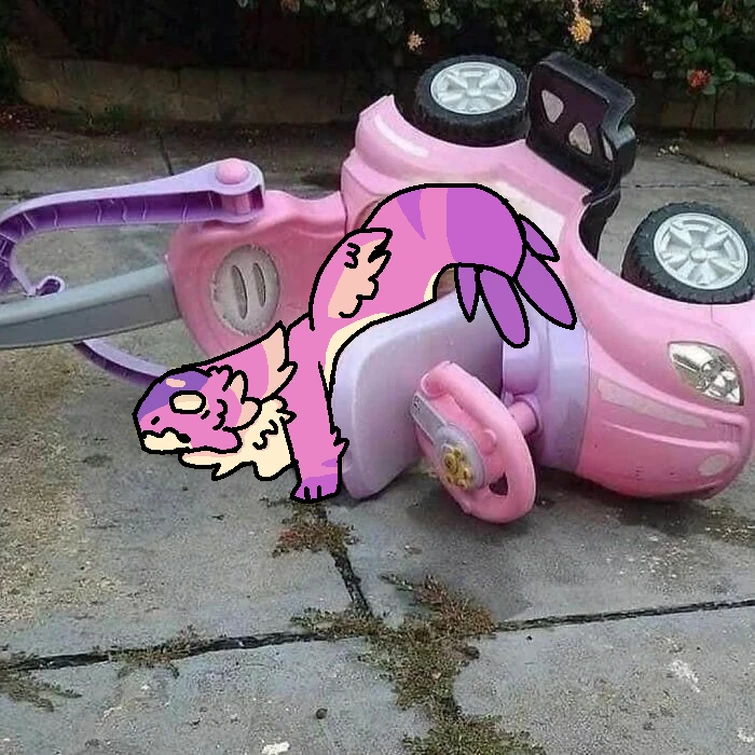 Editing Prodigy pets over random images I find part 2 | Fandom