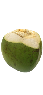 coconut | Fandom