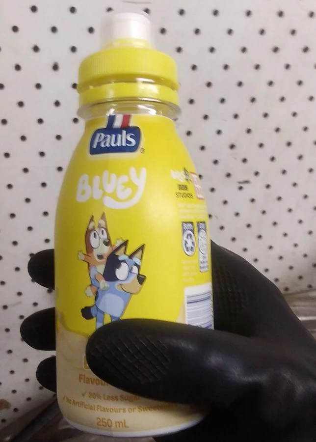 I love bluey | Fandom