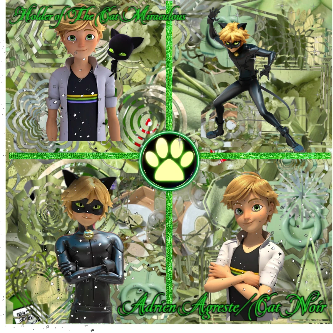 Adrien/Cat Noir Edit! | Fandom