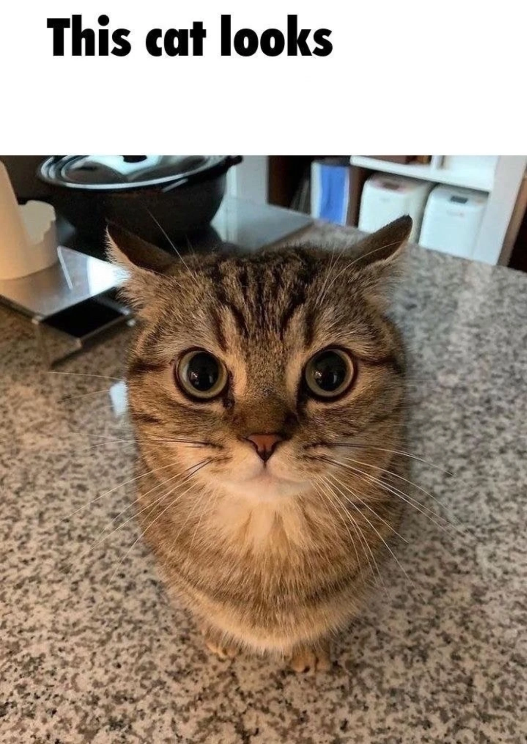 HELLOOOO THEREEEE!! | Fandom