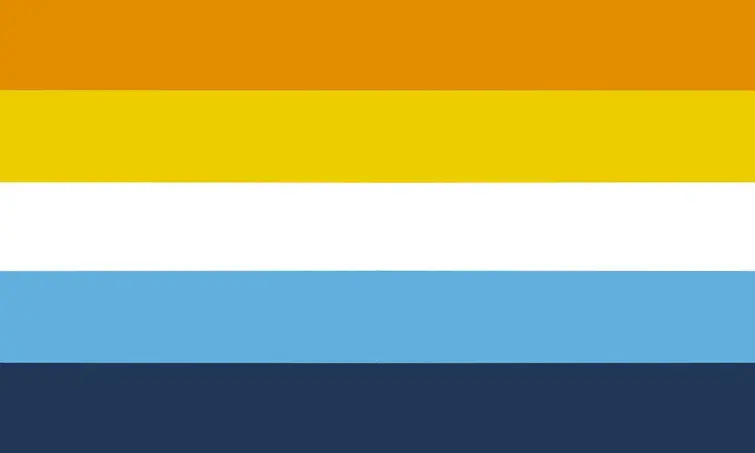 Pronouns? Flags? | Fandom