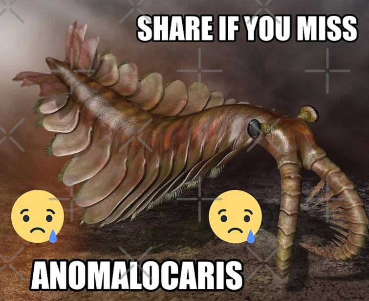 How much is Ignicaris worth rn? | Fandom