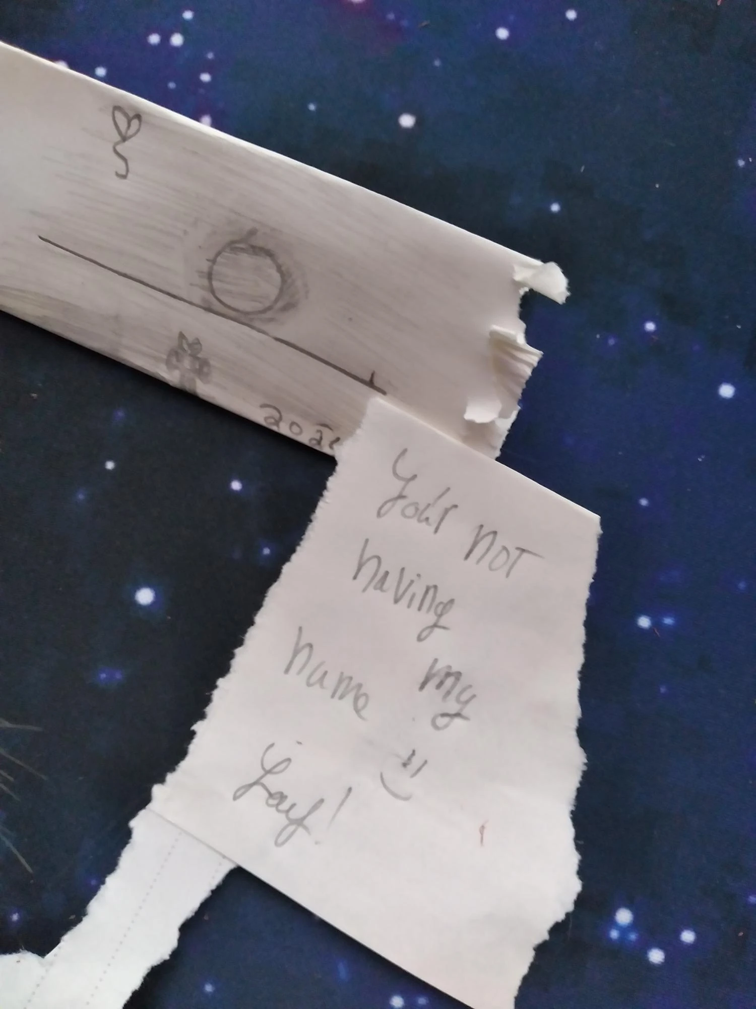 If you remember the first fanart I made here I made a doodle remake ...