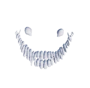 Smiler | The Depths of Reality Wiki | Fandom