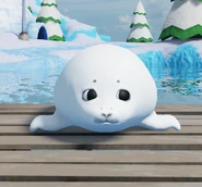 Seal Emotes + Face Expressions | Be a Silly Seal Wiki | Fandom